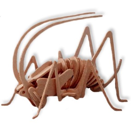 Cricket (Qty In Stock:23) – Woodcraft Kits