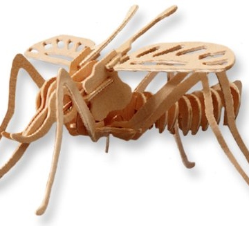 Insects – Woodcraft Kits